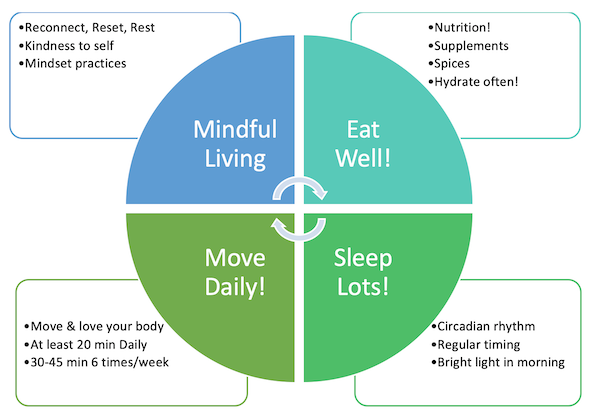Lively Life - Crested Butte + Gunnison