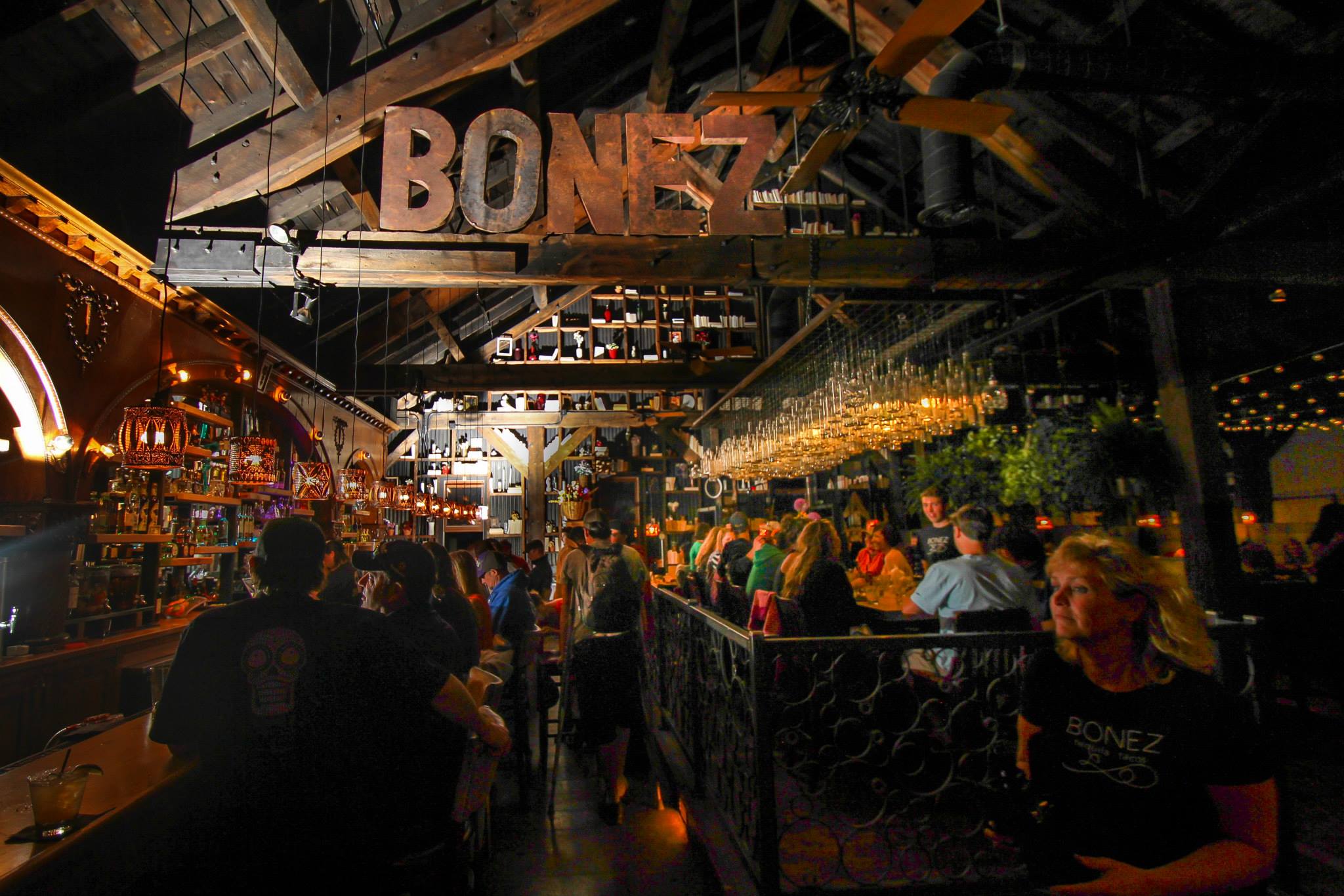 BONEZ - Crested Butte + Gunnison