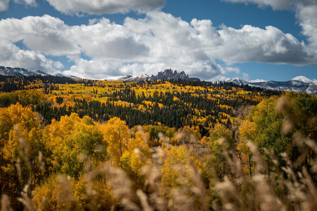 Colorado Fall Colors and Foliage in Crested Butte + Gunnison