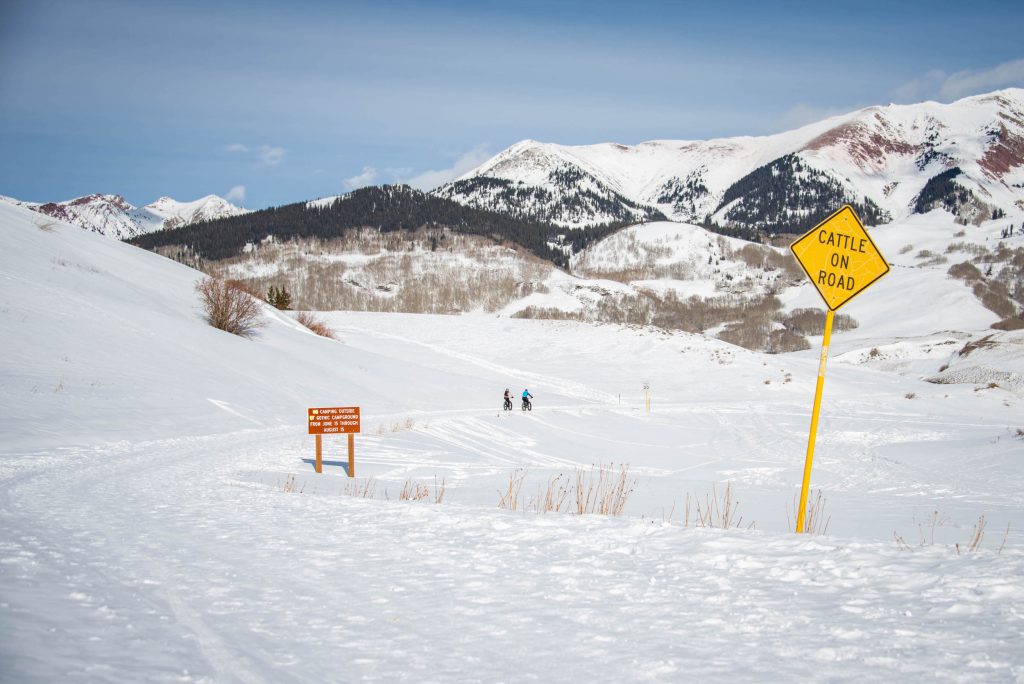 Things to Do in Gothic, Colorado | Crested Butte + Gunnison
