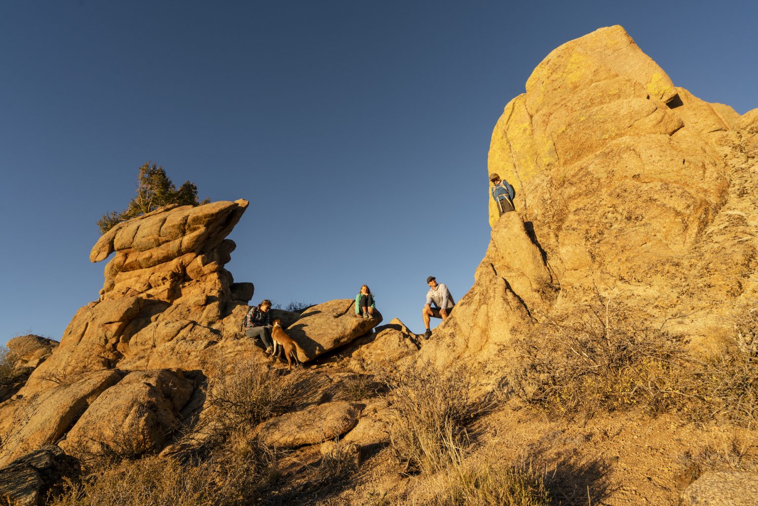 Hartman Rocks Trail Running Guide | Crested Butte + Gunnison
