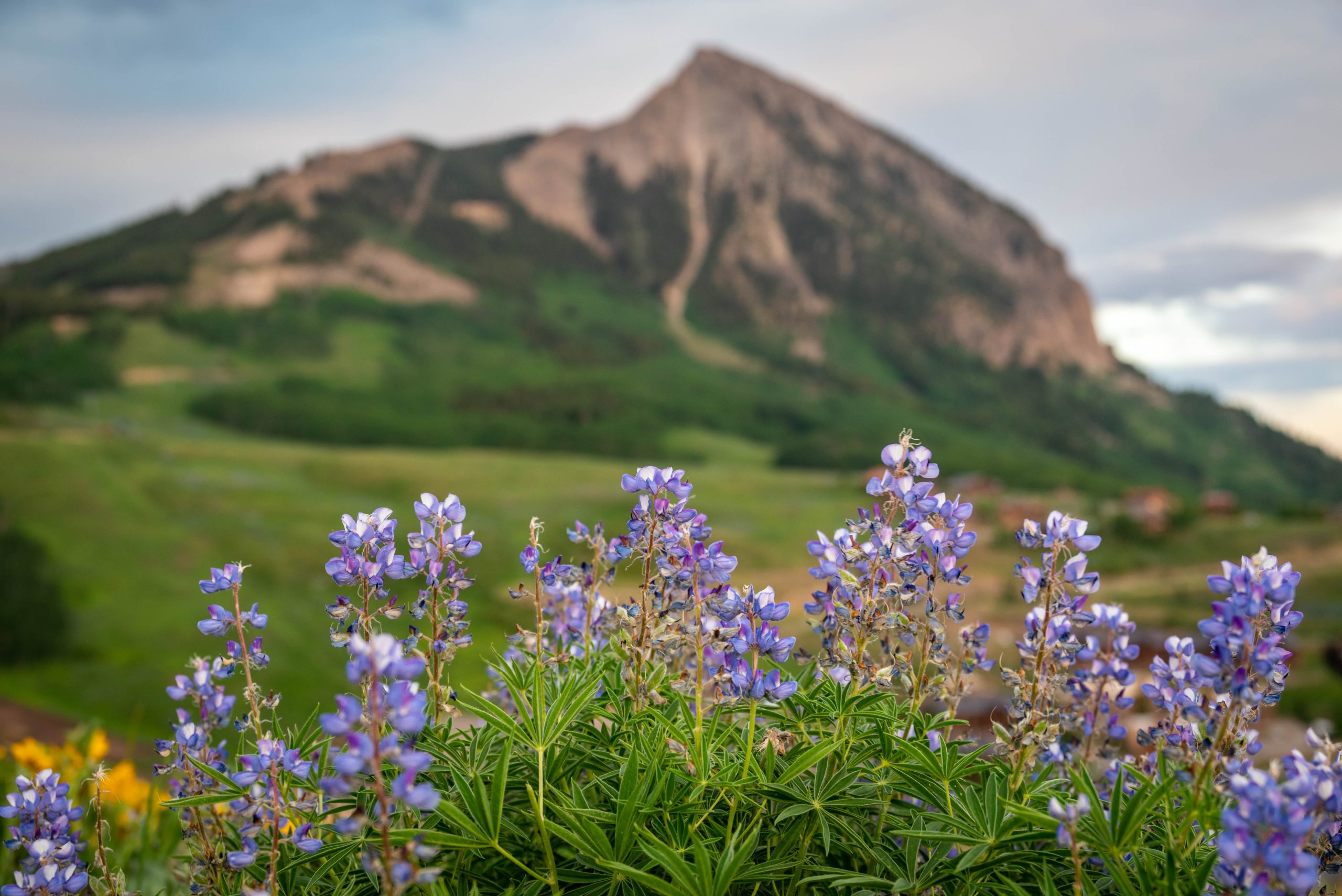 Crested Butte Land Trust - Conservation Opens the Door to Visitors