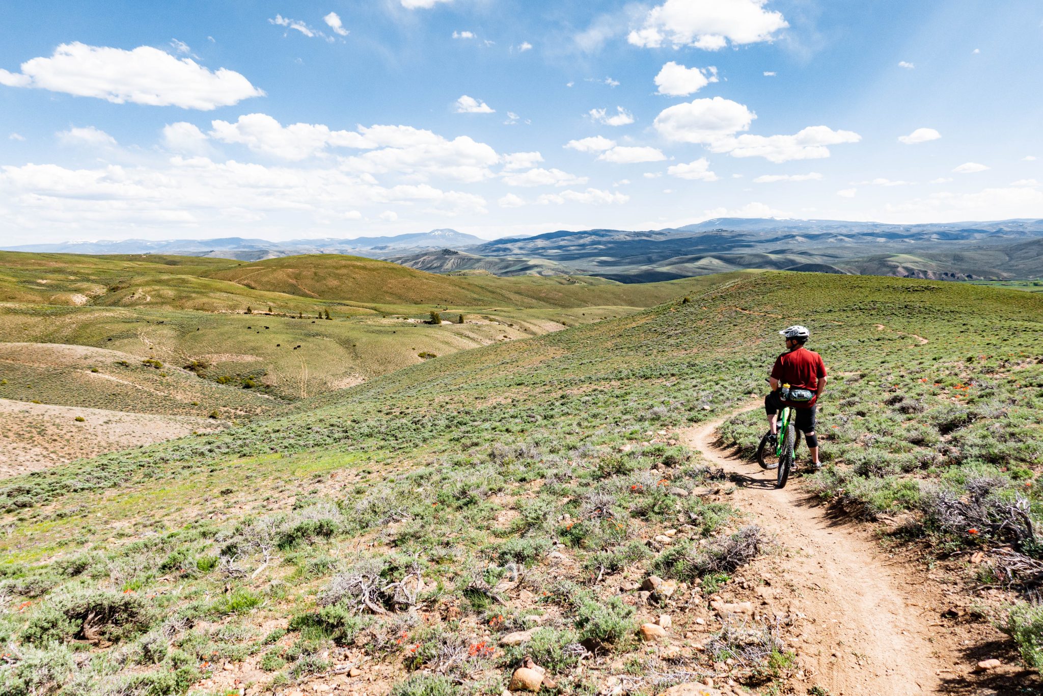Signal Peak Recreational Trails | Crested Butte + Gunnison