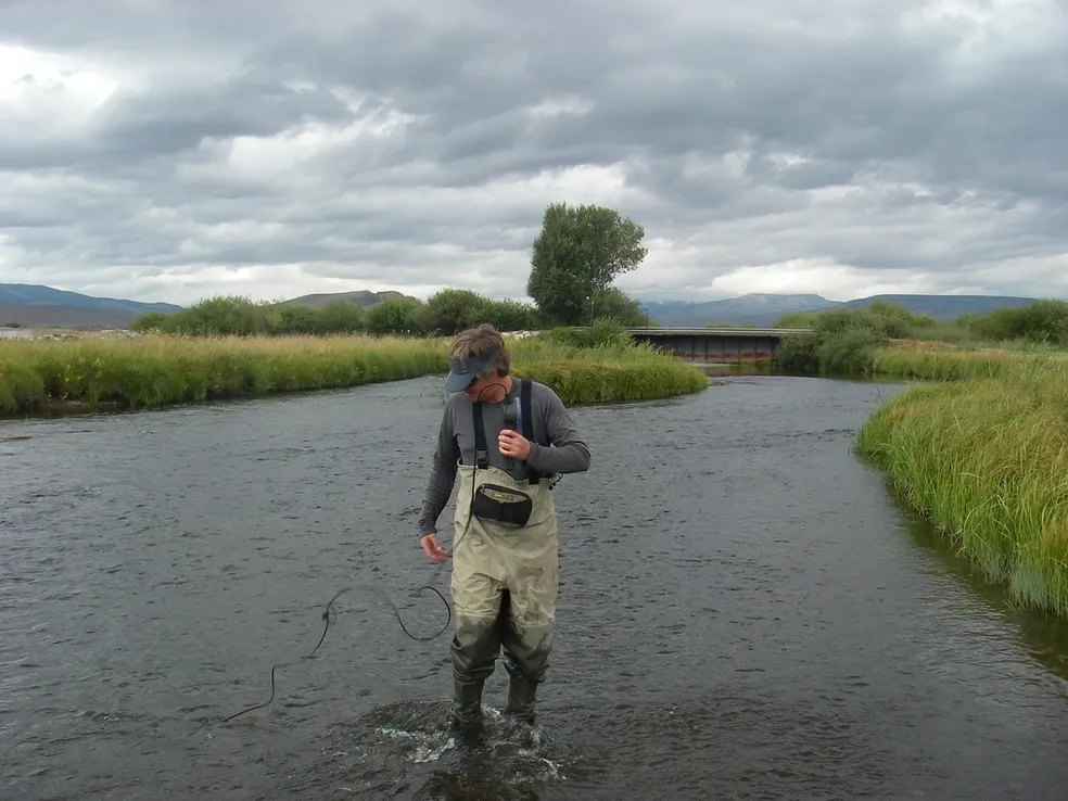 Bio-Environs - Crested Butte + Gunnison